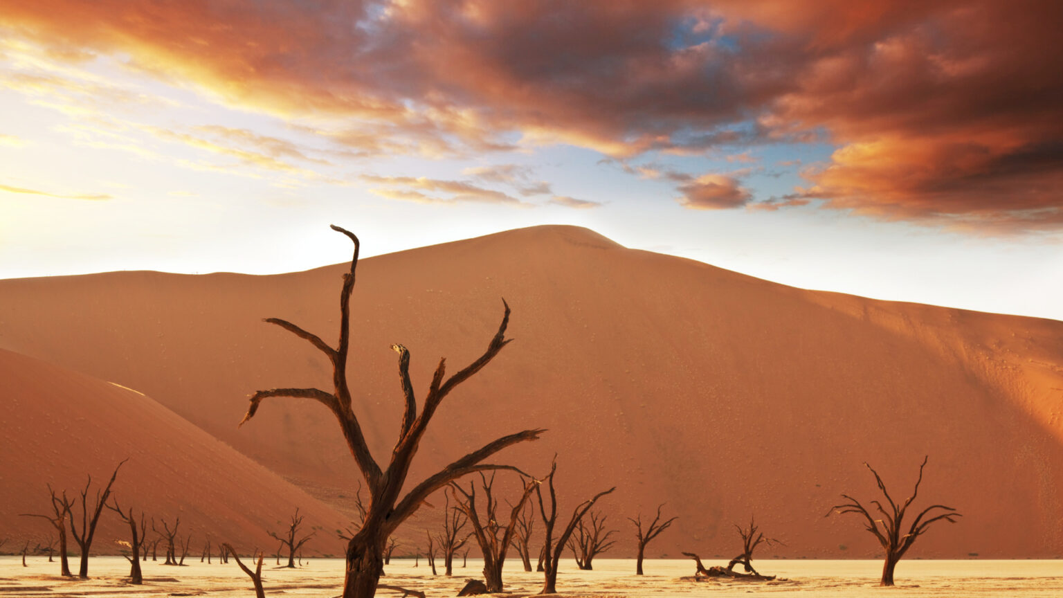 12-day itinerary to discover the fabulous Namibia - Millevista