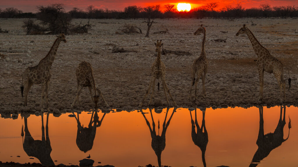 12-day itinerary to discover the fabulous Namibia - Millevista